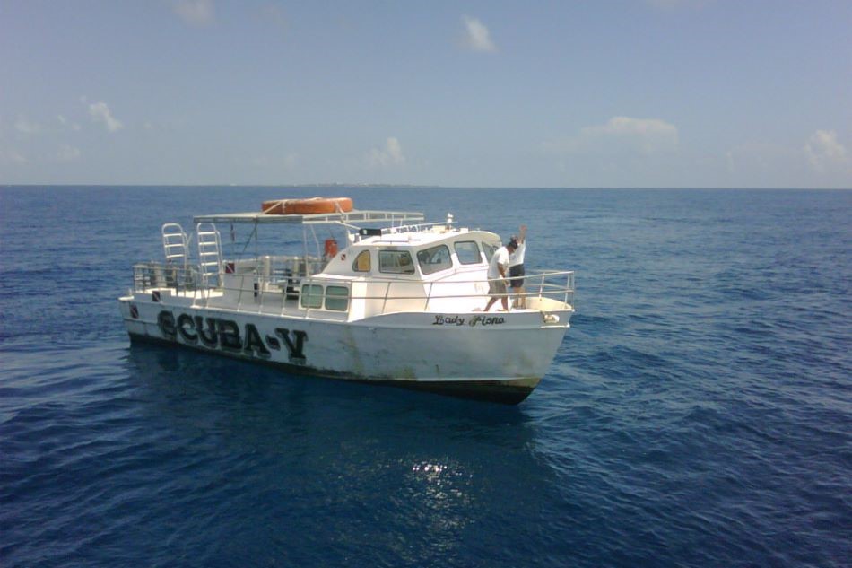 Activities – Dive Passport D | Nexus