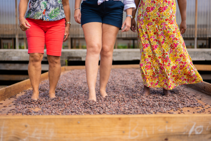 Activities – Spice Isle Unveiled - Grenada Island Tour | Nexus